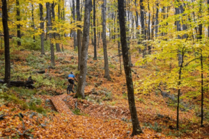 Home | Slate Valley Trails