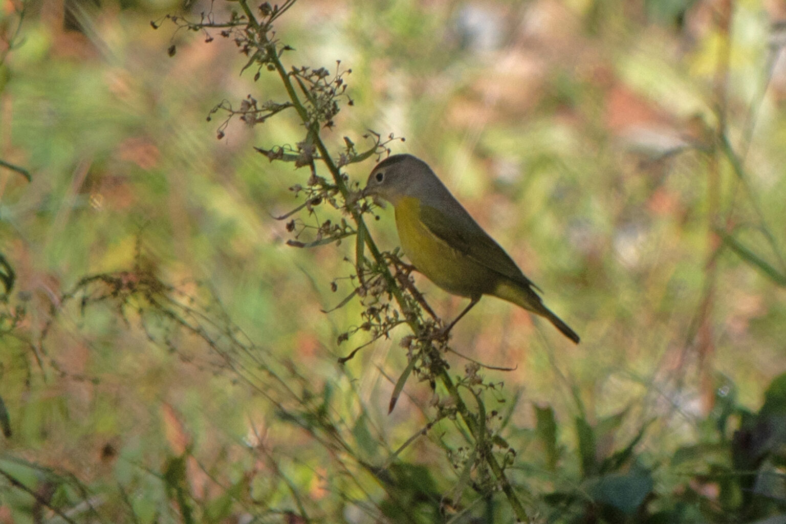 Home | Slate Valley Trails